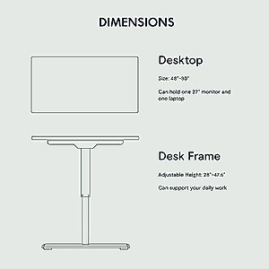 FLEXISPOT Electric Height Adjustable Desk with Desktop, 48 x 30 Inches, Standing Desk Stand Up Desk Workstation (Silver Frame + 48 in Black Top)