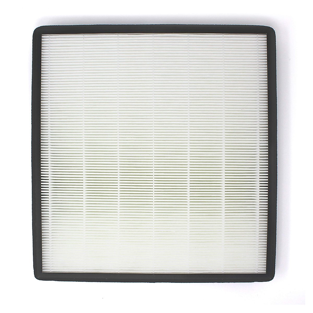 Fette Filter - Air Purifier True HEPA Filter F Compatible with Holmes HAP769. Compare to Part # HAPF700 (2 Pack)
