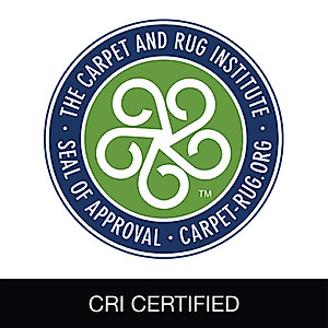 Sanitaire Force Upright Commercial Vacuum SC5713D Black