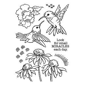 Spellbinders STP-193 Hummingbird Day Clear Stamp Set from The Stampendous Spring Collection