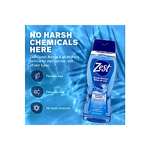 Zest Ocean Breeze Body Wash - Enriched with Sea Minerals - Rich Lathering Cleansing Body Wash Leaves Your Skin Feeling Smooth and Moisturized With an Invigorating Scent, 18 Fl Oz (Pack of 6)