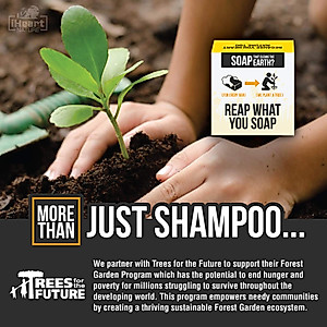 Organic Shampoo Bar (Packed with Neem Amla Shikakai Hibiscus) Made in USA (Natural Herbal Clarifying Surfactant Free) Ayurvedic Handmade Aromatherapy (Citrus)