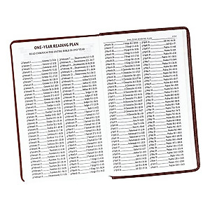 Personalized Bible Custom Text Your Name KJV Giant Print Two-Tone Brown Bible King James Version Custom Made Gift for Baptism Christenings Birthdays