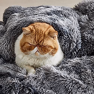 Bedsure Faux Fur Throw Blanket Tie Dye Grey – Fuzzy, Fluffy, and Shaggy Faux Fur, Soft and Thick Sherpa, Tie-dye Decorative Gift, Throw Blankets for Couch, Sofa, Bed, 50x60 Inches, 380 GSM