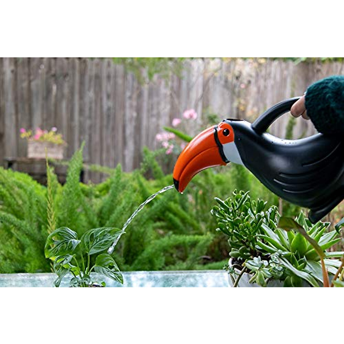 Brilliest Toucan Watering Can Indoor/Outdoor - Cute Watering Can - Bird Shaped Plastic Watering Can - Great for Plants/Indoor/Outdoor/Kids/Succulent - Small Watering Can