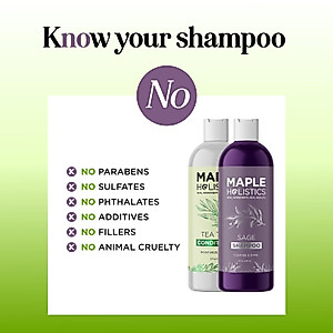 Sulfate Free Shampoo and Conditioner Set - Tea Tree Sage and Rosemary Shampoo and Conditioner for Dry Flaky Scalp Care - Deep Cleansing Color Safe Shampoo and Conditioner for Damaged Dry Hair Care