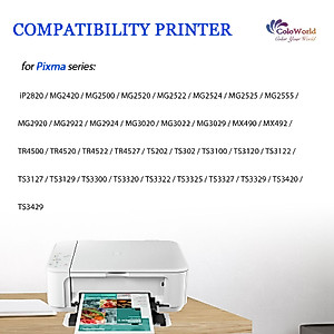 ColoWorld Remanufactured Ink Cartridge Replacement for Canon 245XL PG-245XL PG-243 245 XL (1 Black) Used for Pixma TS3122 MX490 MX492 TR4522 TR4520 MG2522 MG2922 MG2520 TS3322 IP2820 MG2500 Printer