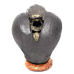Dhumavati Shaligram/Adwaitya Golden Dhumavati Dasha MahaVidya Shaligram, Fossil, Fossil