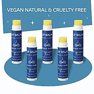 ALIDA PURE Fragrance Free Lip Balm, Vegan Lip Balm Set, Unscented, No Flavor, Beeswax Free, Organic Jojoba Oil, Avocado Oil, Vitamin E, Natural Moisturizer for Dry, Chapped, or Cracked Lips 5 Tube Set