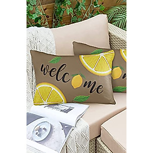 ALAGEO Outdoor Waterproof Pillow Covers for Patio Furniture Summer Fruit Lemon Decorative Throw Pillow Cover Plant Green Leaves Brown Pillowcases Set of 2 Cushion Case for Sofa Couch Chair 20x12 in