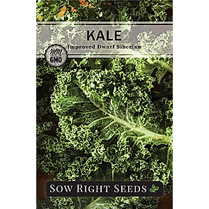 Sow Right Seeds - Kale Seed Collection for Planting - Non-GMO Heirloom Packet with Instructions to Plant and Grow a Home Vegetable Garden, Great Gardening Gift