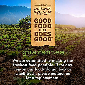 FreshPet Grain-Free Chicken Recipe for Dogs, 5lb