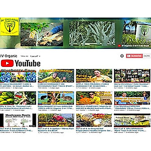 IV Organic 3-in-1 Plant Guard, 1 Pint (WHITE)