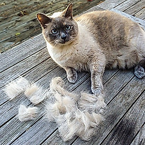 barkOutfitters Cat Slicker Brush, Quick Self-Cleaning Pro Quality Grooming Comb for Cats