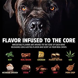 Pet Qwerks Dinosaur BarkBone - Nylon Dog Bone for Aggressive Chewers - Bacon Flavor - 6.5"