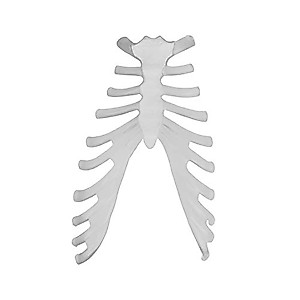 Parco Scientific PB00028, Disarticulated Medical Skeleton Model | Life Size Skeleton | Total 206 Bones | One Hand and Foot are Wired to Highlight Structure | Labeled Diagram and Study Guide Included