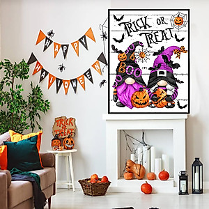 VIGEGU Halloween Gnome Diamond Painting Kits for Adults - Trick or Treat Art Adults,5D Paintings with Dots Full Drill Round Gem Art,for DIY Gift and Home Decor12 x 16inch rectangle