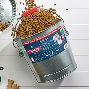 Behrens 6 Gallon Rust-Proof Steel Locking Lid Trash Can(6 gal) Made in USA