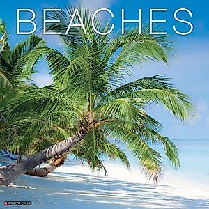 Beaches 2023 Wall Calendar