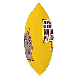 Apostrophes Do Not Make Nouns Plural Grammar Cat Apostrophes Don't Make Nouns Plural Funny English Teacher Throw Pillow, 18x18, Multicolor