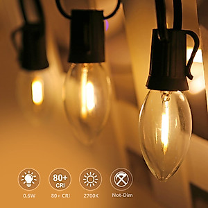 BORT 25 Pack C9 LED Replacement Light Bulb, C9 LED Bulbs for Christmas Outdoor String Lights, E17 Intermediate Base, Commercial Grade Holiday Bulbs Warm White 2700K