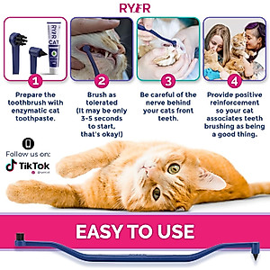 RYERCAT Set of Dual Sided Cat Toothbrushes - Kitten Toothbrush with Micro Head to fit into Kittens Mouth - Cat Dental Care Supplies Pet Toothbrush for Cats (Flamingo Pink and Space Blue)