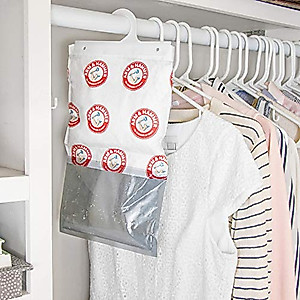 Arm & Hammer Clean Burst Hanging Moisture Absorber and Odor Eliminator - 2 Pack - Traps Moisture for Fresher, Cleaner Air