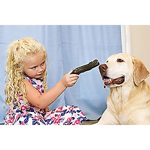 GNAWLY DOG Chew Toys for Aggressive Chewers, 5 Pack, Flavor Infused Heavy Duty Rubber Bones, Ring, Antlers, Ropes and Animal, Indoor and Outdoor Play for Medium to Large Breeds