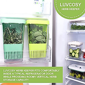 LUVCOSY 2 Packs Fresh Herb Keeper for Refrigerator, Clear BPA-Free Herb Saver, Storage Container for Cilantro, Parsley, Thyme, Mint & Asparagus, Preserver Keeps Fresh Herbs Cyan