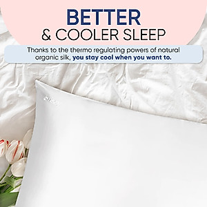 Blissy Silk Pillowcase - 100% Pure Mulberry Silk - 22 Momme 6A High-Grade Fibers - Silk Pillow Cover for Hair & Skin - Regular, Queen & King with Hidden Zipper (King, Blissy White)