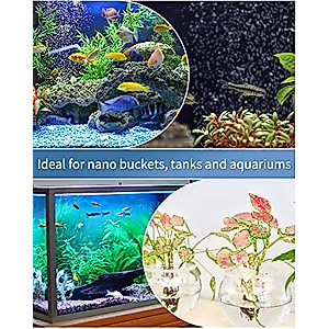 Pawfly Aquarium Air Stone Disc, 1 Inch Small Fish Tank Bubble Stone Kit Ultra-High Dissolved Oxygen Diffuser Bubbler with Accessories for Nano Air Pumps Small Buckets and Fish Tanks