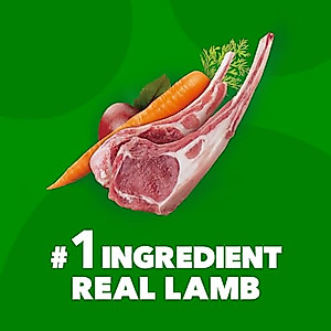 IAMS Minichunks Adult Dry Dog Food Lamb & Rice Recipe Dog Kibble, 30 lb. Bag