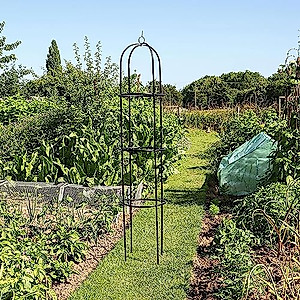 Metal Garden Obelisks Trellis for Climbing Plants Outdoor,1.85m Plastic-Coated Steel Frame Trellis Planter,for Rose Vine (Black)