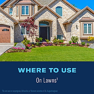 BioAdvanced Lawn Weed Killer, Ready-to-Spray, 32 oz, 16,000 Sq Ft