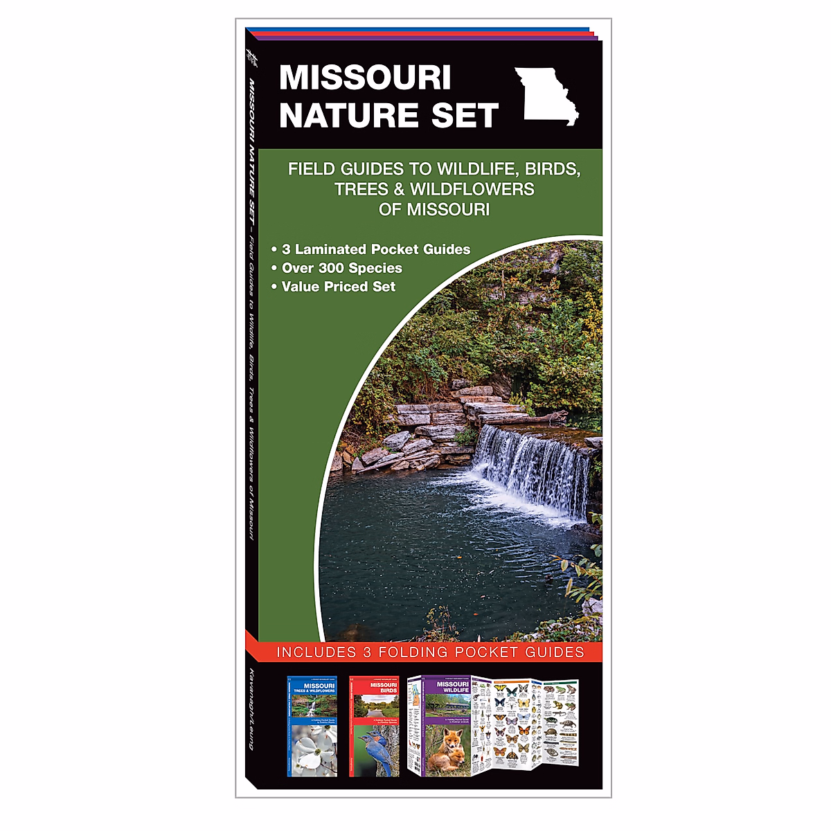 Missouri Nature Set: Field Guides to Wildlife, Birds, Trees & Wildflowers of Missouri (Nature Observation North America)