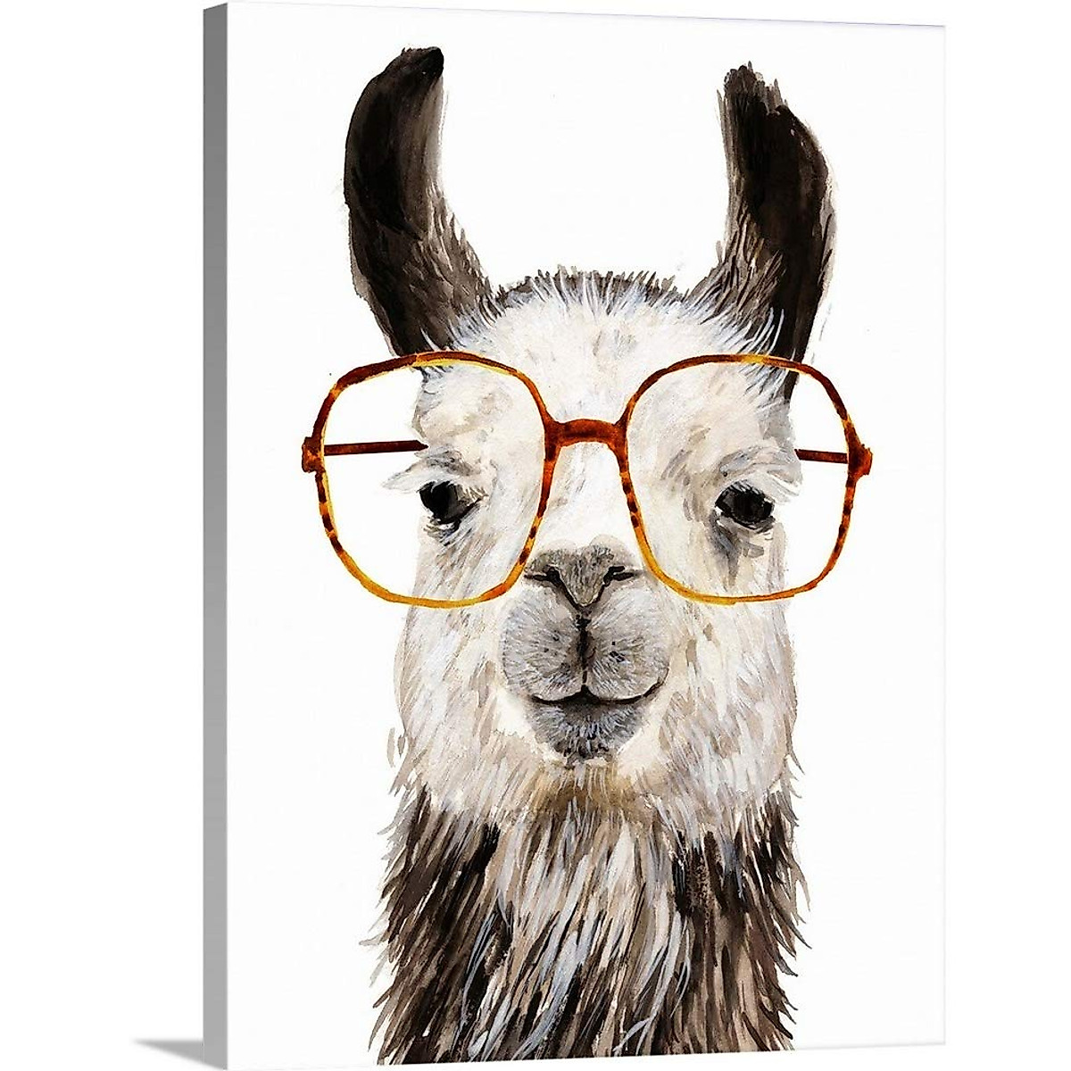 3 Piece Hip Llama Canvas Wall Art Print Set, Animal Home Decor