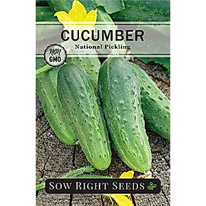 Sow Right Seeds - Cucumber Seed Collection for Planting - Armenian, Pickling, Lemon, Beit Alpha, Marketmore Variety Pack, Non-GMO Heirloom Seeds to Grow a Home Vegetable Garden, Great Gardening Gift