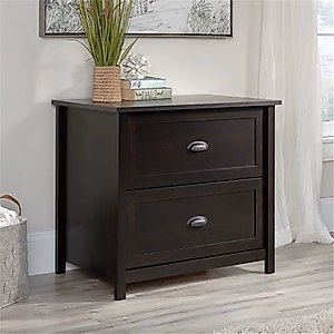 Pemberly Row Engineered Wood 2-Drawer Lateral File Cabinet in Estate Black