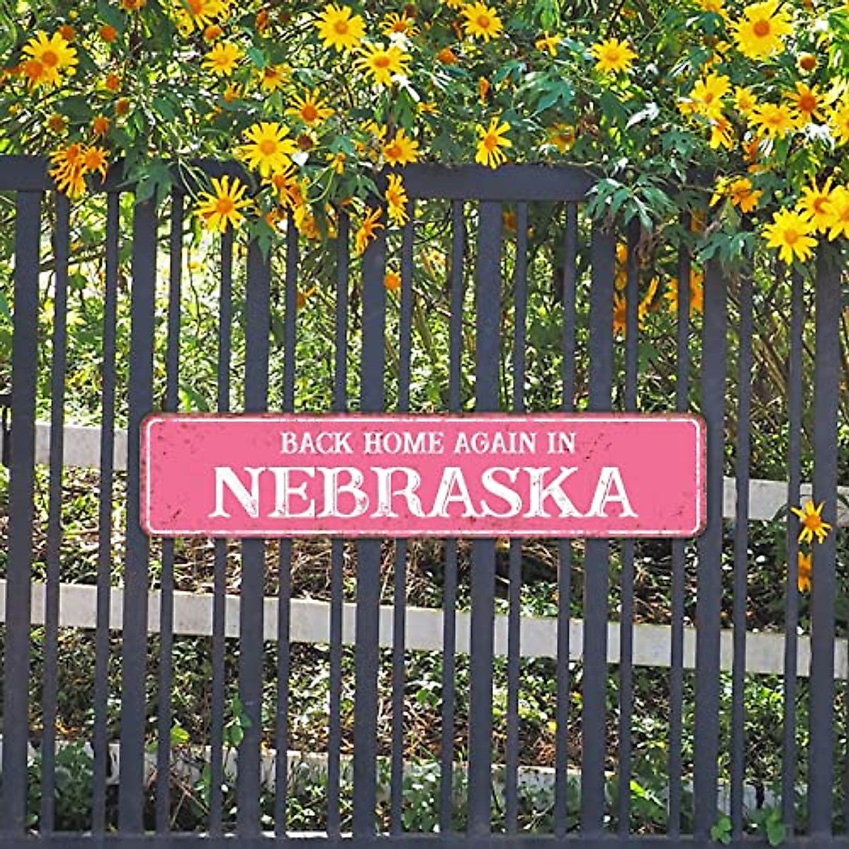 Nebraska Tin Plaque Custom State Metal Plaque Back Home Again in Nebraska Road Signs Unique Drinking Sign for Front Door Garden Yard Porch Man Cave Novelty Birthday Gift 18x4in