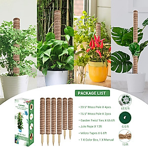 Moss Pole for Plants Monstera, 115 inch Moss Poles for Climbing Plants, 4 Pcs 20.5" and 2 Pcs 16.5" Coco Coir Pole for Indoor Potted Plants Grow Upwards, Moss Stick Totem Pole Plant Support