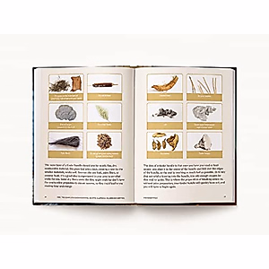 FIRE: The Complete Guide for Home, Hearth, Camping and Wilderness Survival