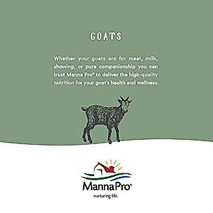 Manna Pro Chicken Feed | 16% Chicken Food with Probiotic Crumbles, Chicken Layer Feed | 8 Pounds