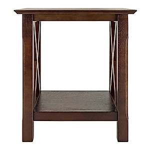 Winsome Xola 20W x 19.13-Inch D End Table, Cappuccino (40420)