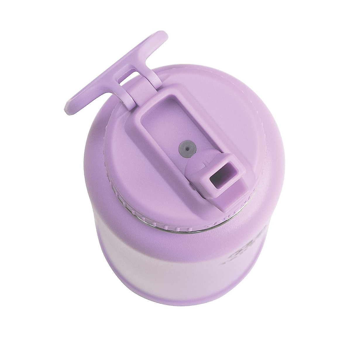 Takeya Actives 32 Oz Vacuum Insulated Stainless Steel Water Bottle with Spout Lid, Premium Quality, Lilac