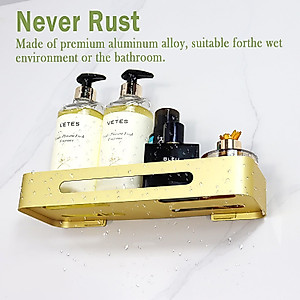 Baolihua Shower Caddy 2 Pack, with Soap Holder and 4 Hooks, Aluminum Bathroom Organizer Never Rusts，No Drilling Shower Rack for Bathroom，Golden.