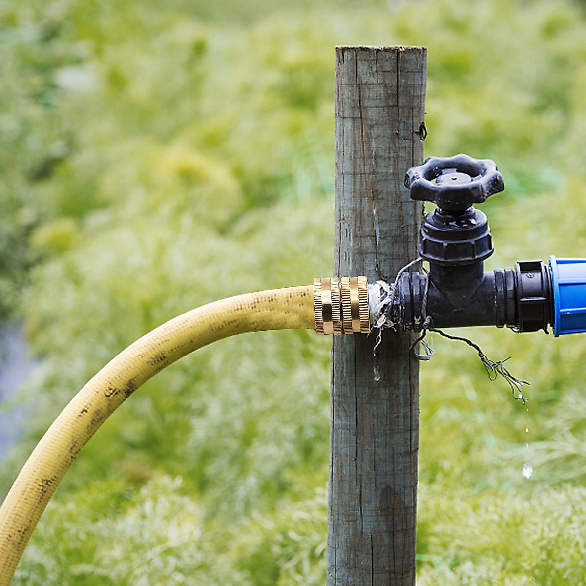 Lifynste 2 Pack 3/4" Heavy Duty Brass Garden Hose Adapter with Dual Swivel for Male Hose to Male Hose, Double Female