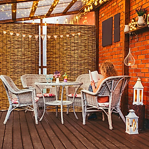 2 Pcs Natural Reed Bamboo Fencing Roll, Bamboo Privacy Screen 3.3 ft x 13.3 ft and 200 Pcs Nylon Black Cable Ties Cord for Garden Balcony Window Indoor Outdoor(Dark Brown)