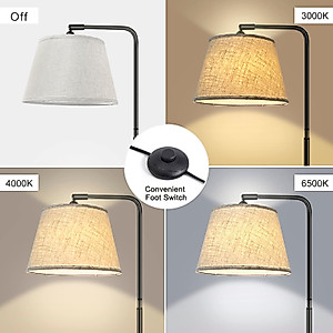 Arc Floor Lamp for Living Room, 3 Color Temperature 3000K-6500K, Modern Standing Lamp with Adjustable Lighting Angle & Foot Switch, 67" Tall Reading Light for Bedroom, Office, 12W LED Bulb Included