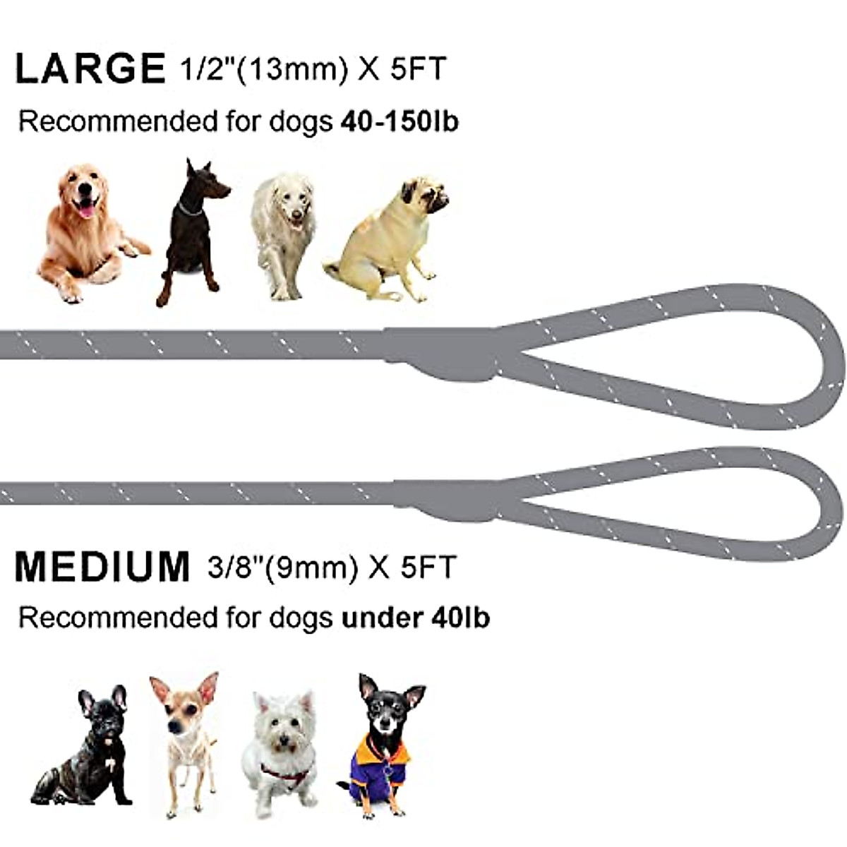 Slip Lead Dog Leash, Reflective Mountain Climbing Rope Leash, Dog Training Leash – 5FT, 2 Sizes (Medium, Turquoise)