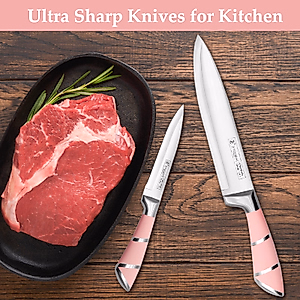 Kitchen Knife Set, 9-Pieces Pink Professional Sharp Chef Knife Set with Acrylic Stand, Striped Hollow Handle Knife Block Set with Gift Box for Family Lover Friends